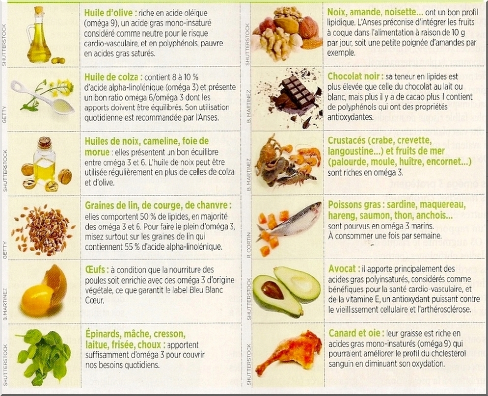 Aliment Riche En Lipide